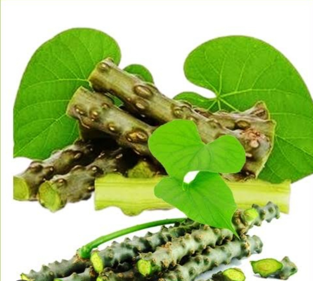 Benefits Of Giloy In Hindi |गिलोय के फायदे
