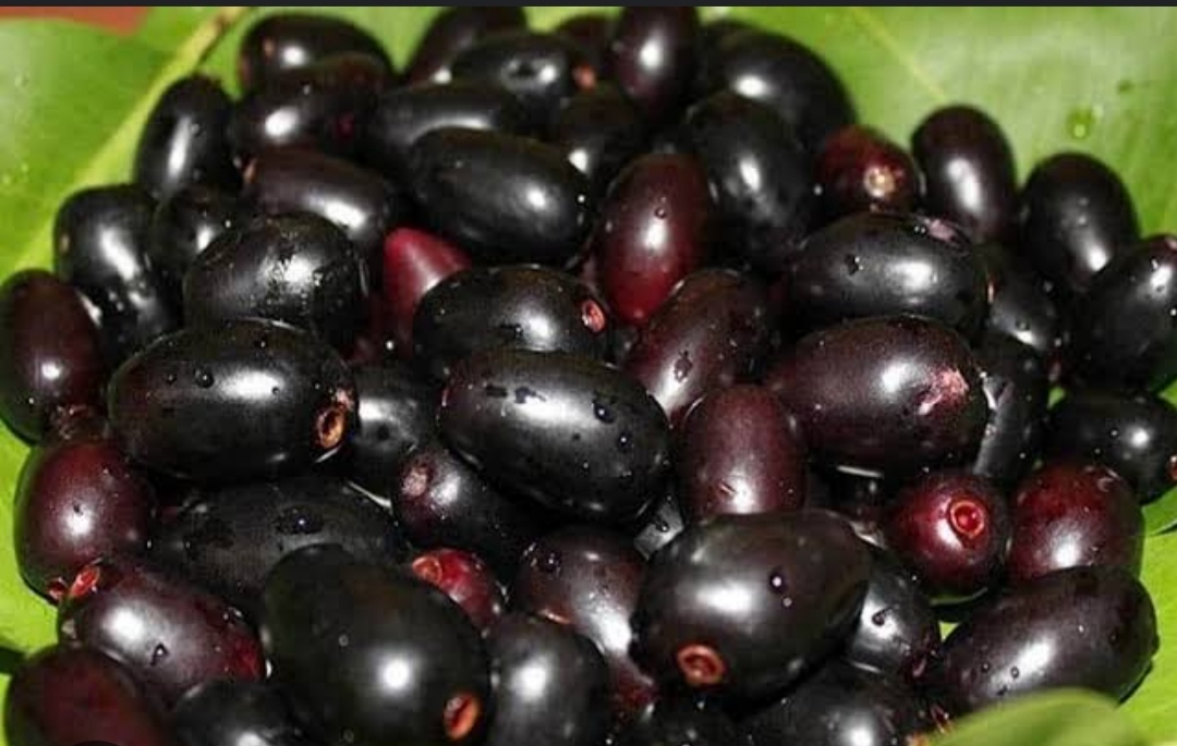 Benefits Of Jamun In Hindi|जामुन के फायदें इन हिन्दी