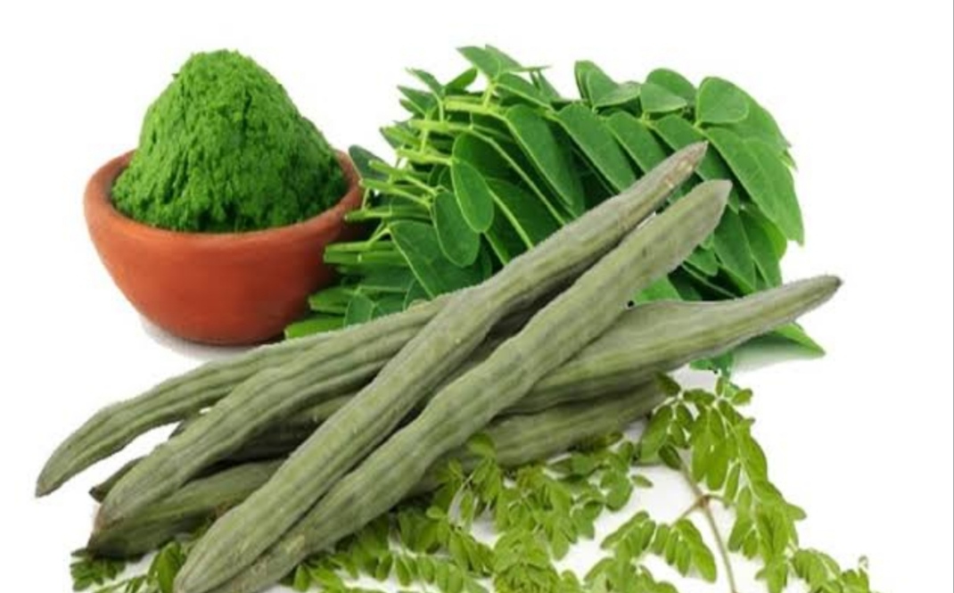 Benefits Of Moringa In Hindi|मोरिंगा के फायदे इन हिन्दी